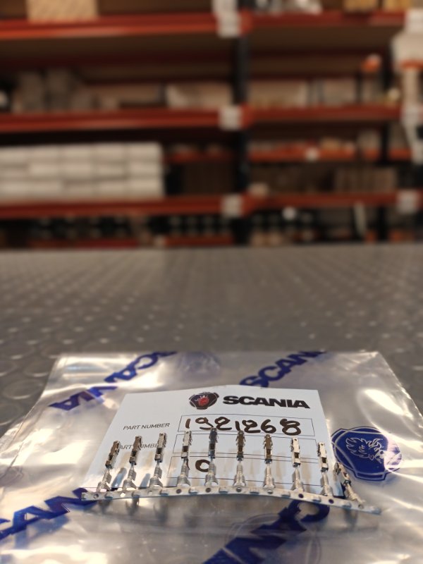 CABLE TERMINAL - Mantas Service